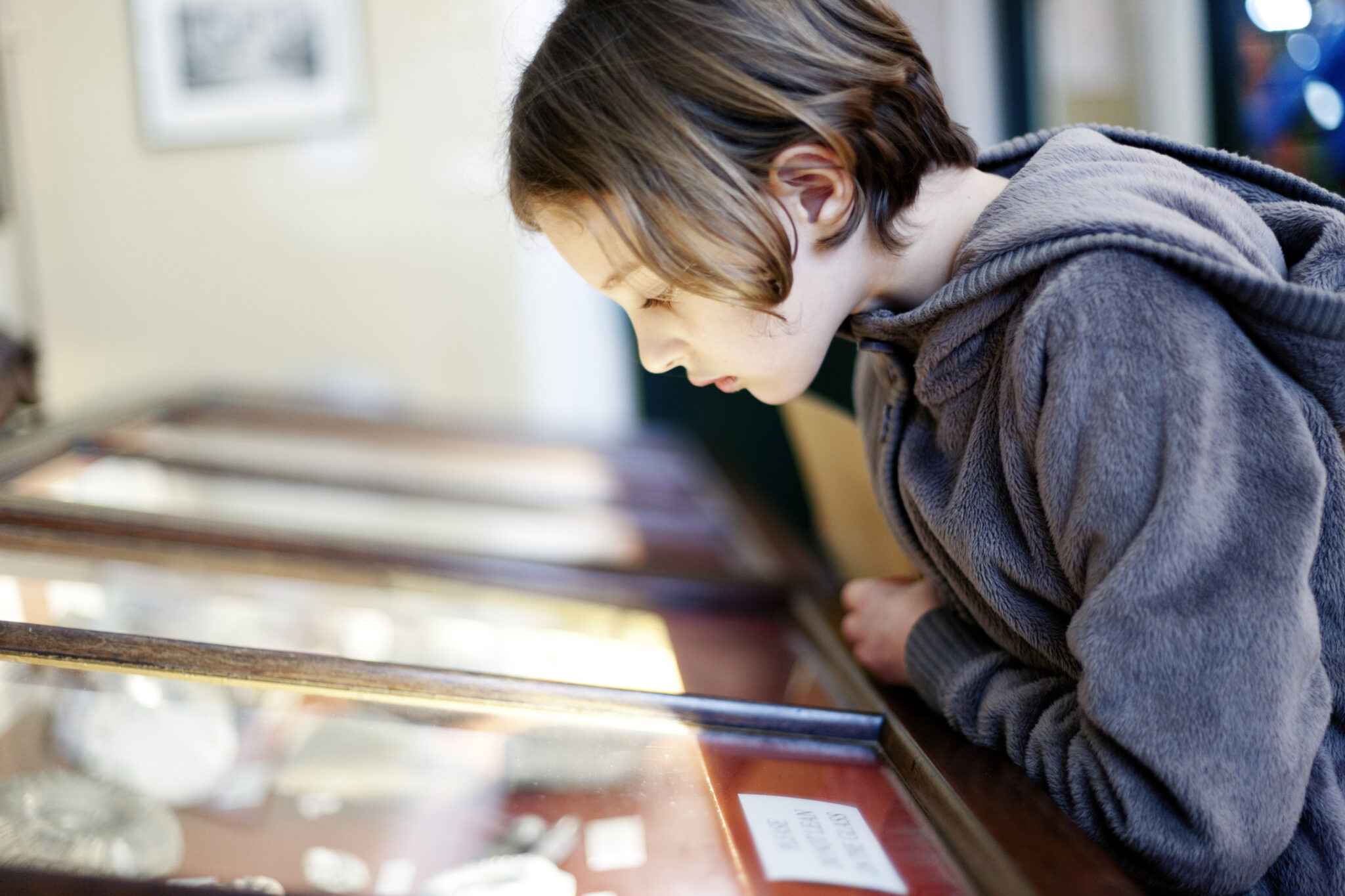 Bezos Family Foundation | Championing the Science of Learning